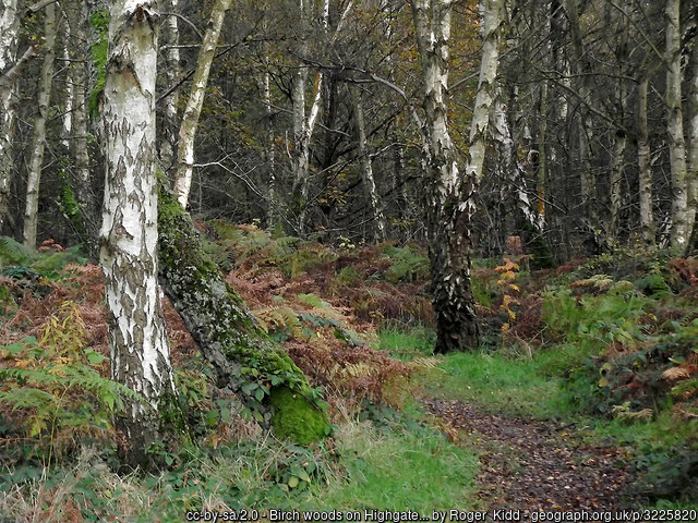 Whitehills - Living Woods