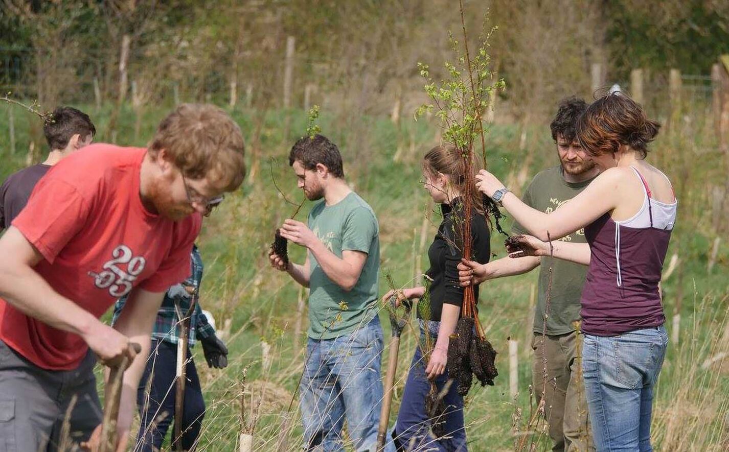 What we do - Living Woods