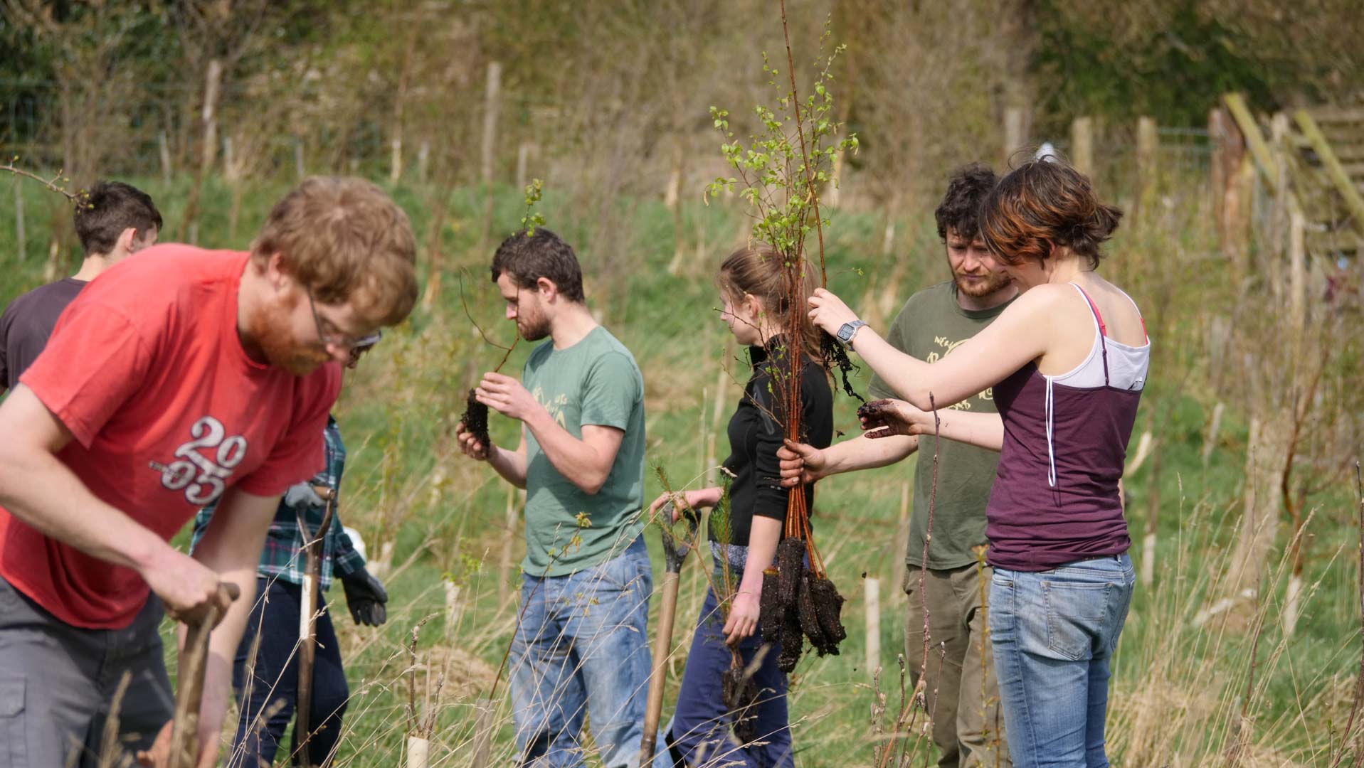 Welcome - Living Woods