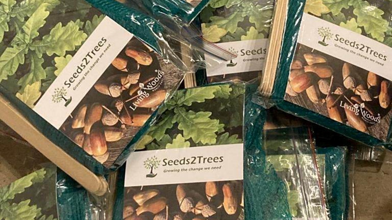 Seeds2Trees - Living Woods