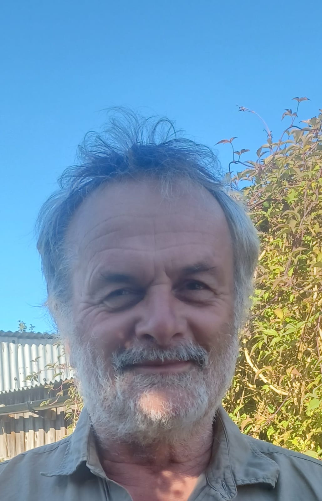 Peter Downes - Living Woods