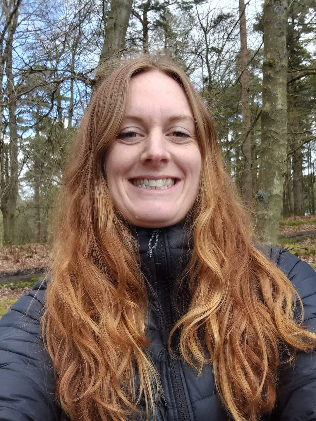 Laura Waugh - Living Woods