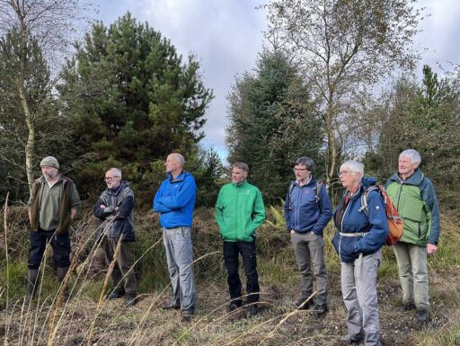 WoodNet - Living Woods