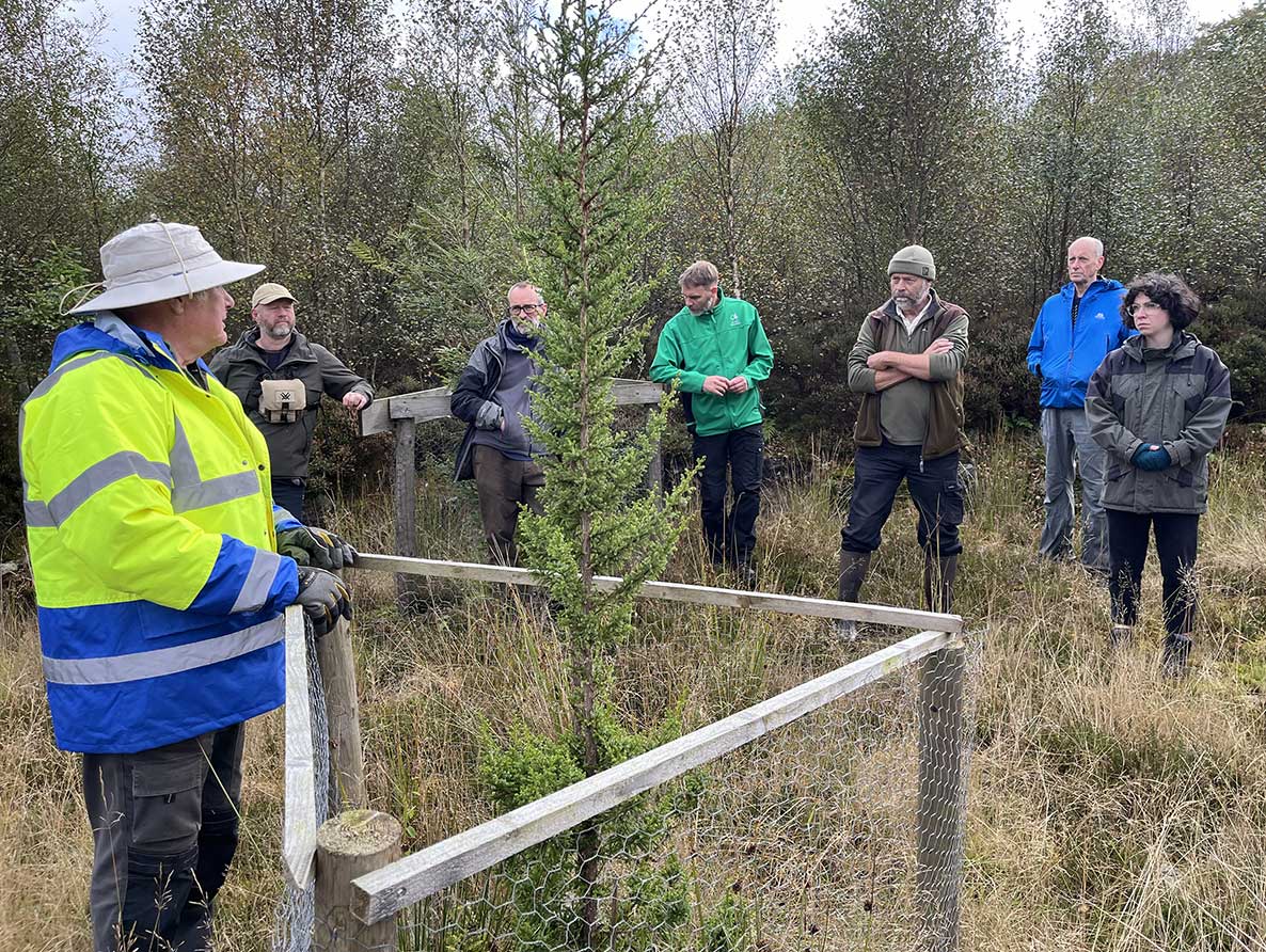Tree planting with North East Community Forest - Living Woods