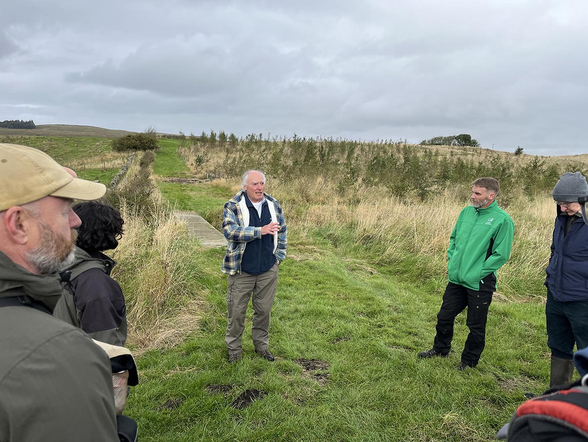 WoodNet - Living Woods