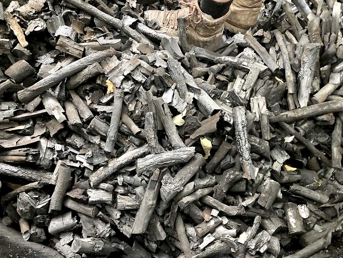 Charcoal - Living Woods